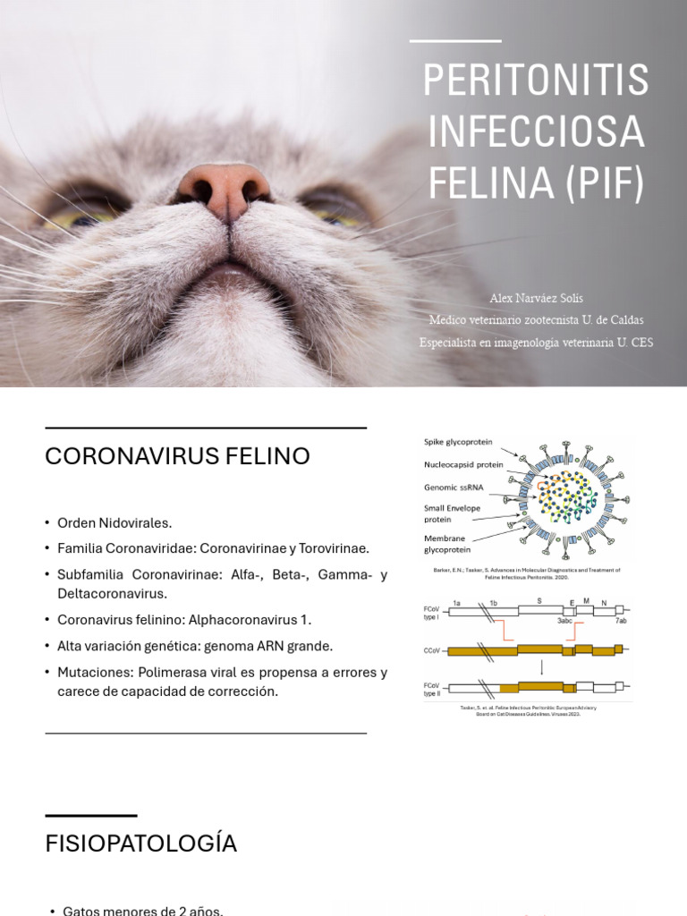 Exposición PIF Dr. Alex Narváez | PDF | Enfermedades y trastornos ...