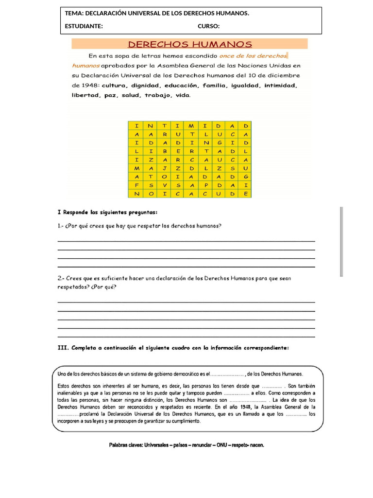 Declaracion Universal de Los Derechos Humanos | PDF