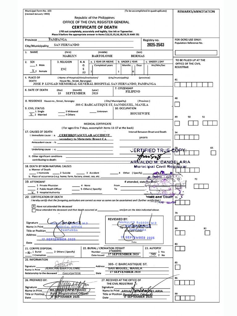 Municipal Form 103 | PDF