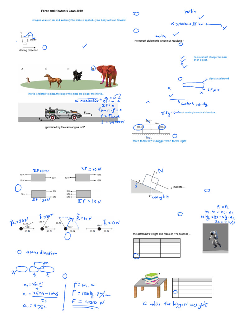 Force and Newton 2019 + Answer Key | PDF | Force | Mass