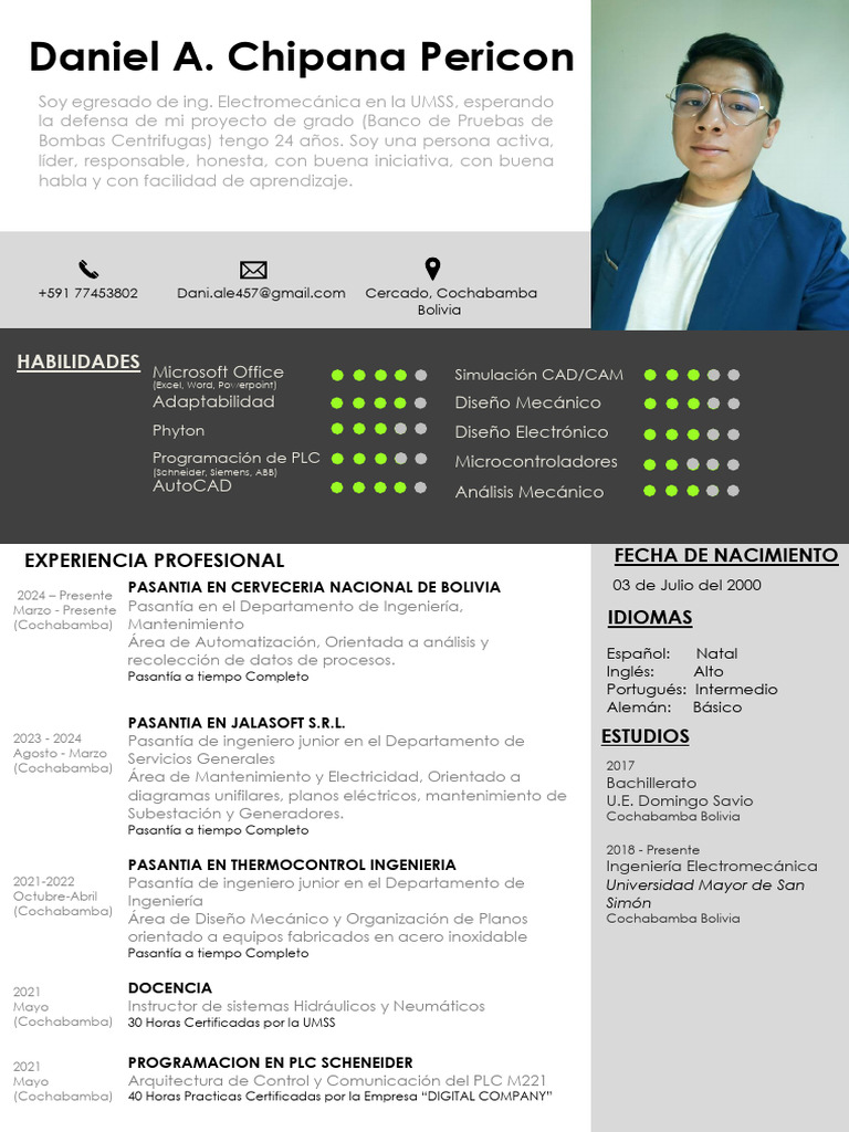 CV Daniel Chipana | PDF | Ingeniería