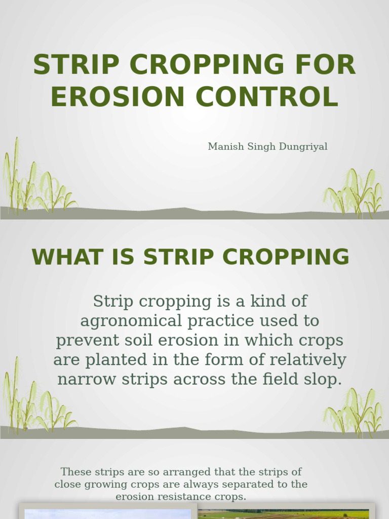 Strip Cropping | PDF