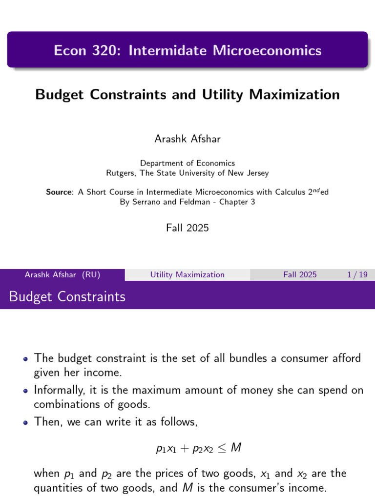 Utility Maximization and Budget Constraints | PDF | Utility | Economics