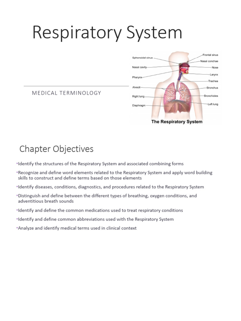 Respiratory System Medical Terminology Guide | PDF | Respiratory Tract ...