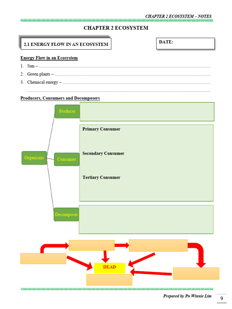Ecosystem Dynamics and Interactions | PDF | Ecosystem | Systems Ecology