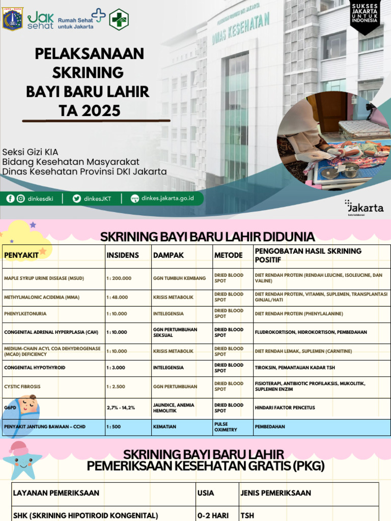 Pelaksanaan Skrining Bayi Baru Lahir Ta 2025 Dinkes Dki | PDF