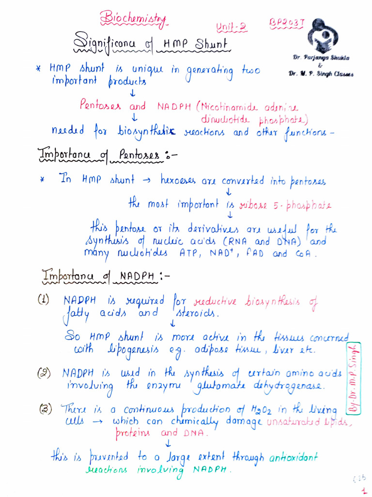 Significance of HMP Shunt | PDF | Phosphorus | Biomolecules