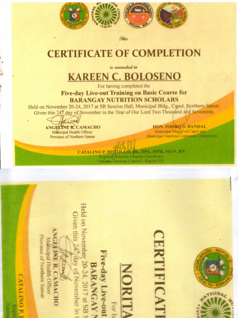 Certificates - Bns Basic Course | PDF