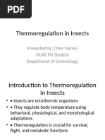 Insect Head Types: Hypognathous, Prognathous, Opisthognathous | PDF