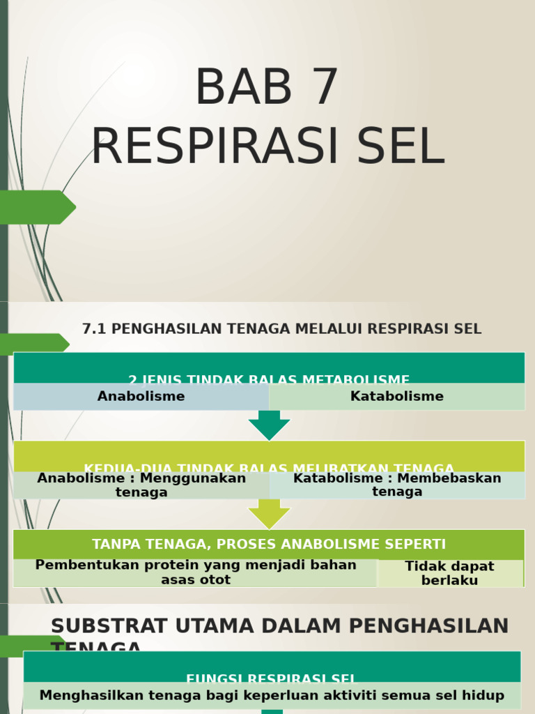 Bio Bab7 F4 | PDF