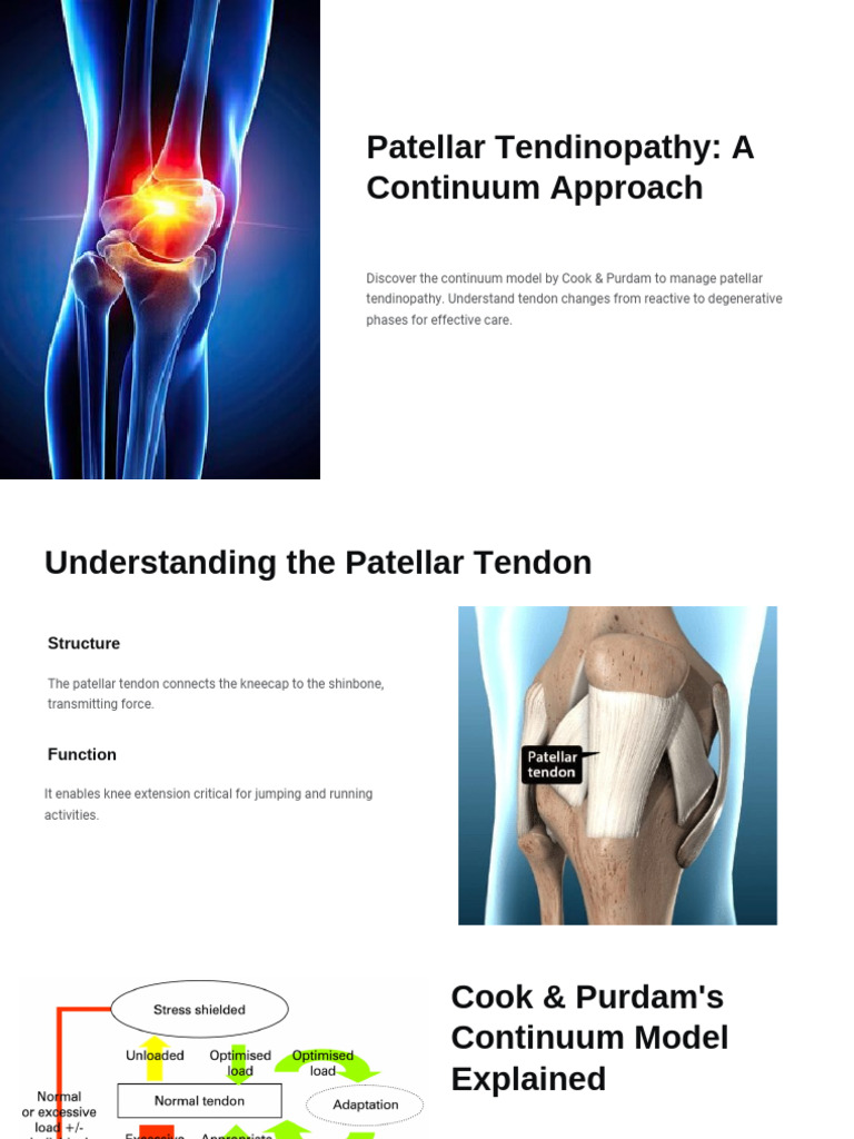 Patellar Tendinopathy A Continuum Approach - PPTX 20250530 223340 0000 ...