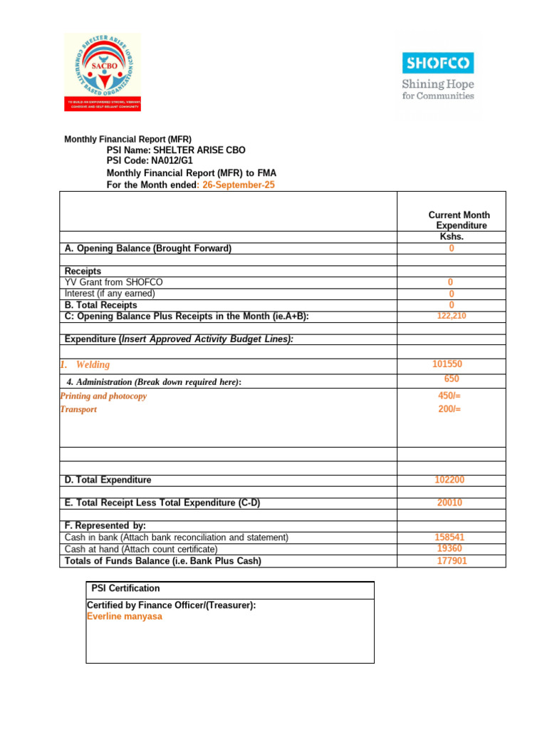 Monthly Financial Report - Month 2 | PDF