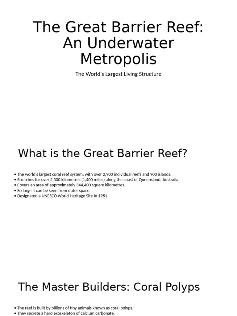 The Great Barrier Reef | PDF | Coral Reef | Coral