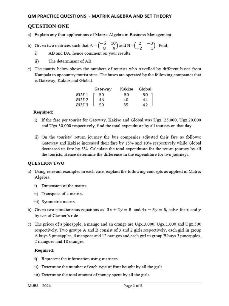QM Practice Questions - Matrix Algebra and Set Theory | PDF | Matrix ...