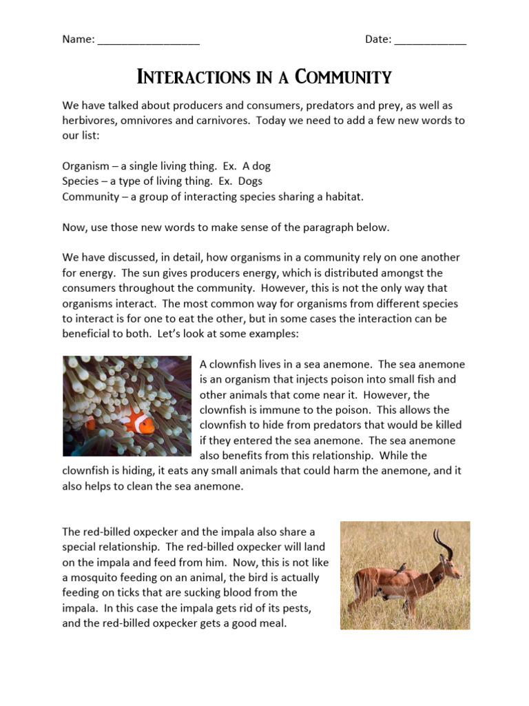 4 Science Habitats Communities Communities | PDF