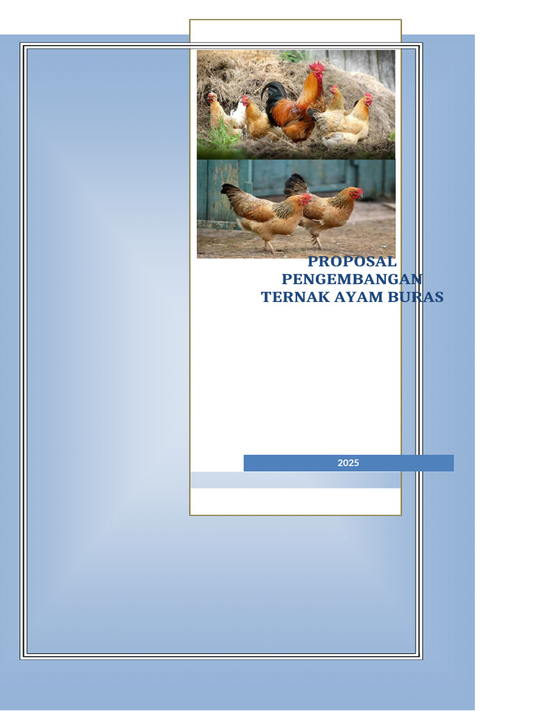 Proposal Budidaya Ayam Buras 2025 | PDF