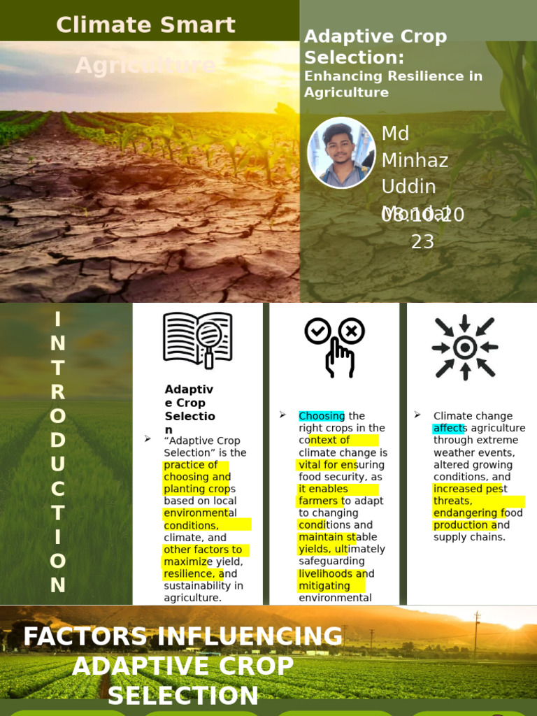 Adaptive Crop Selection: Sustainable Agriculture | PDF | Agriculture | Rice