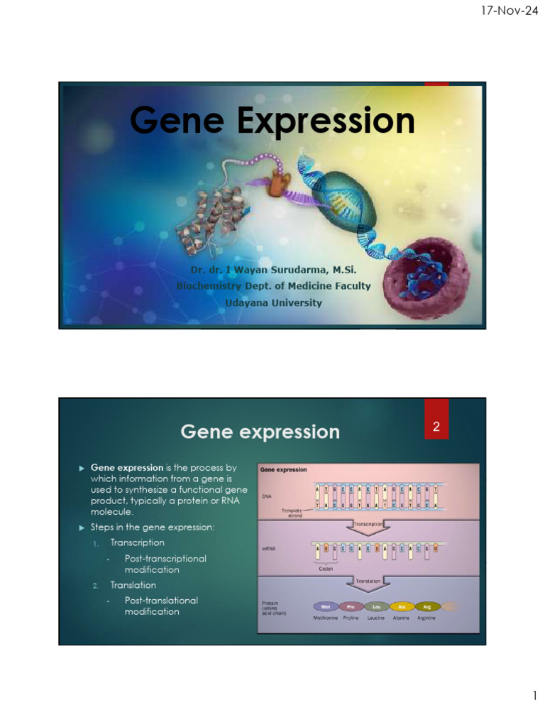 Understanding Gene Expression Processes | PDF | Translation (Biology ...