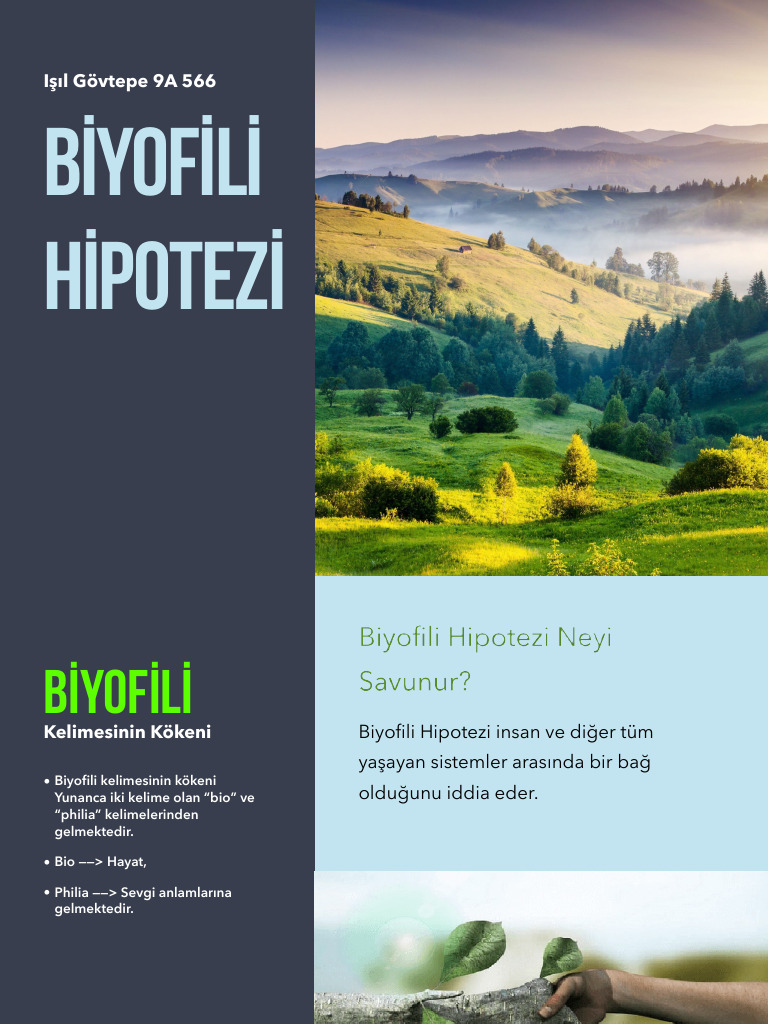 Biophilia Hypothesis? | PDF