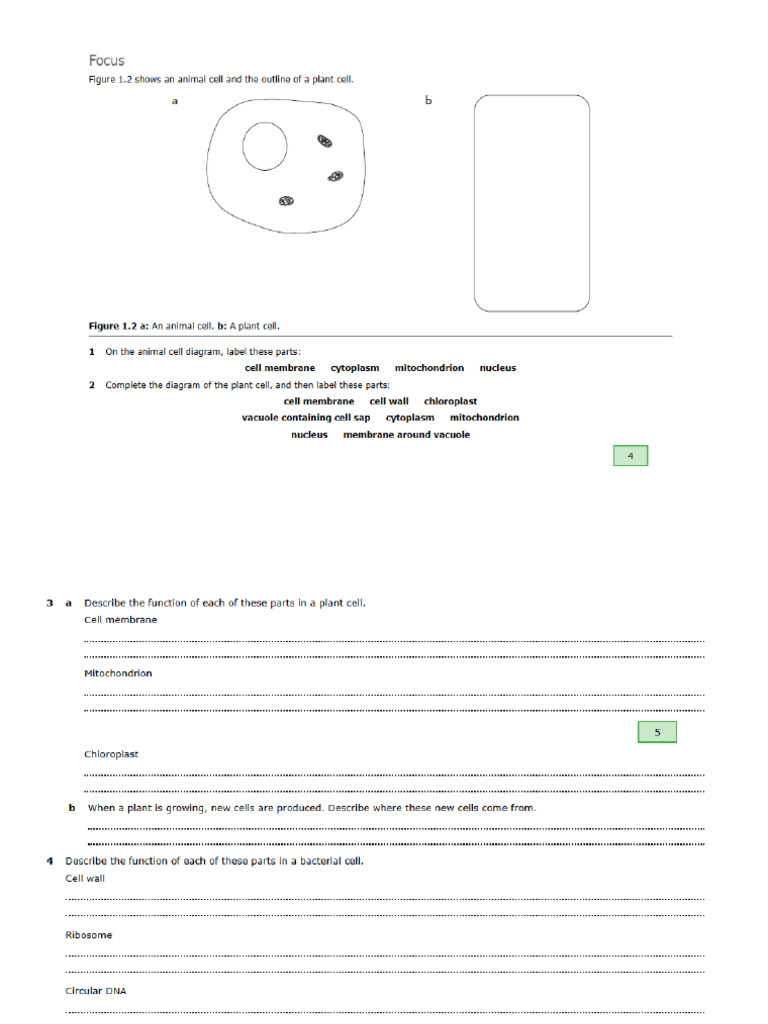 Igcse Cells | PDF