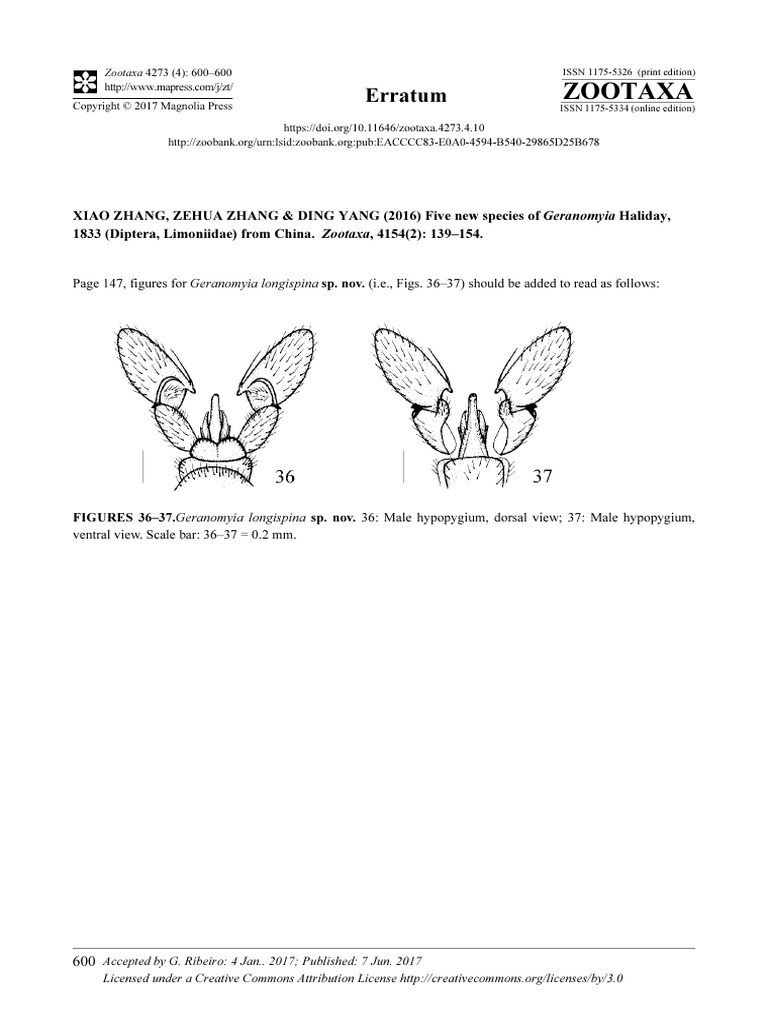 Erratum for Geranomyia longispina Sp. Nov. | PDF