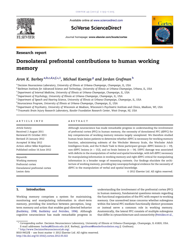 Dorsolateral PFC and Working Memory | PDF | Wechsler Adult Intelligence ...
