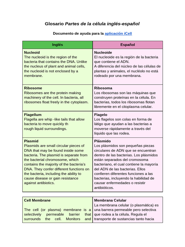 Partes de la Célula: Inglés-Español | PDF | Las bacterias | Biología ...