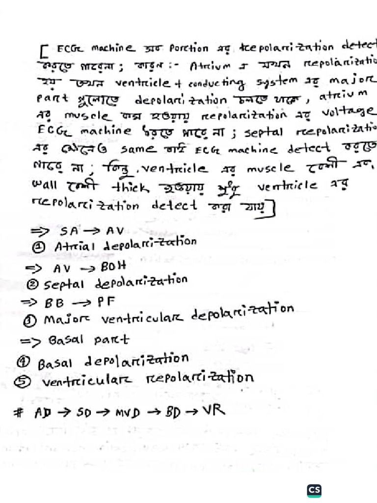 ECG Note | PDF