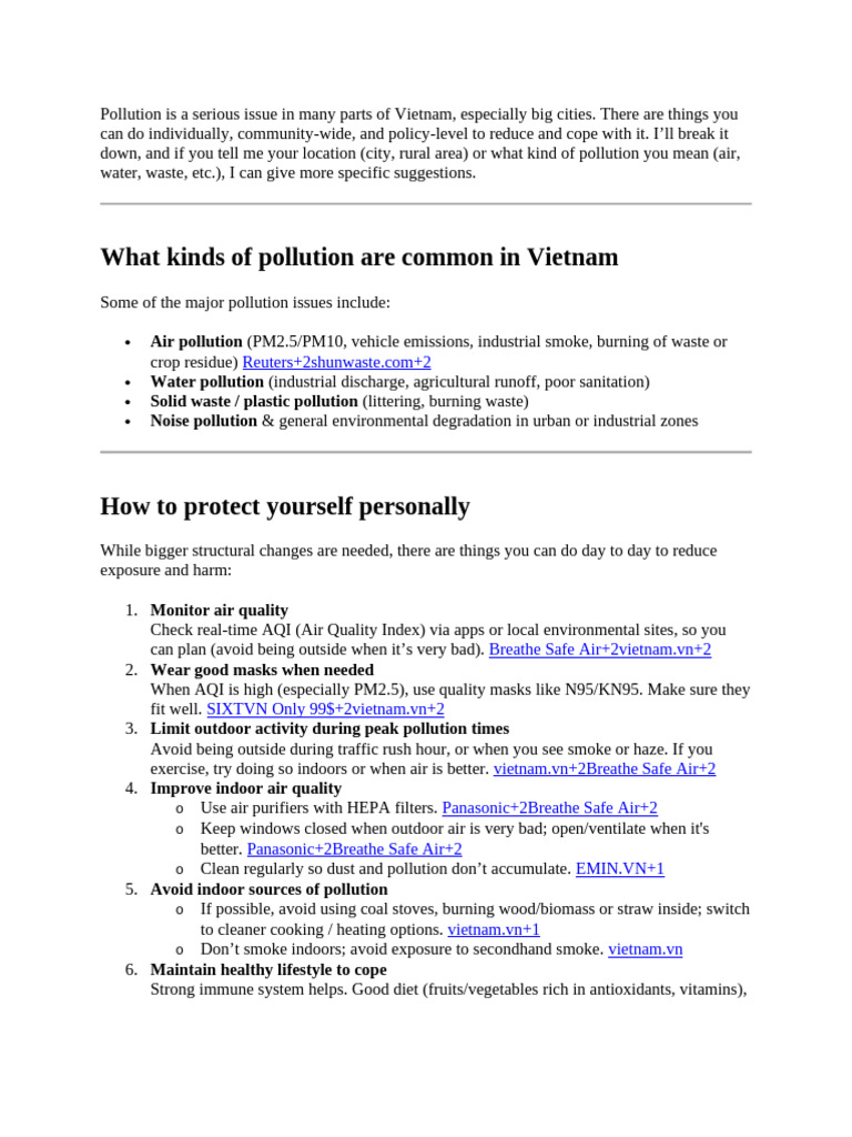 How To Deal With Vietnam's Pollution | PDF | Air Pollution | Pollution