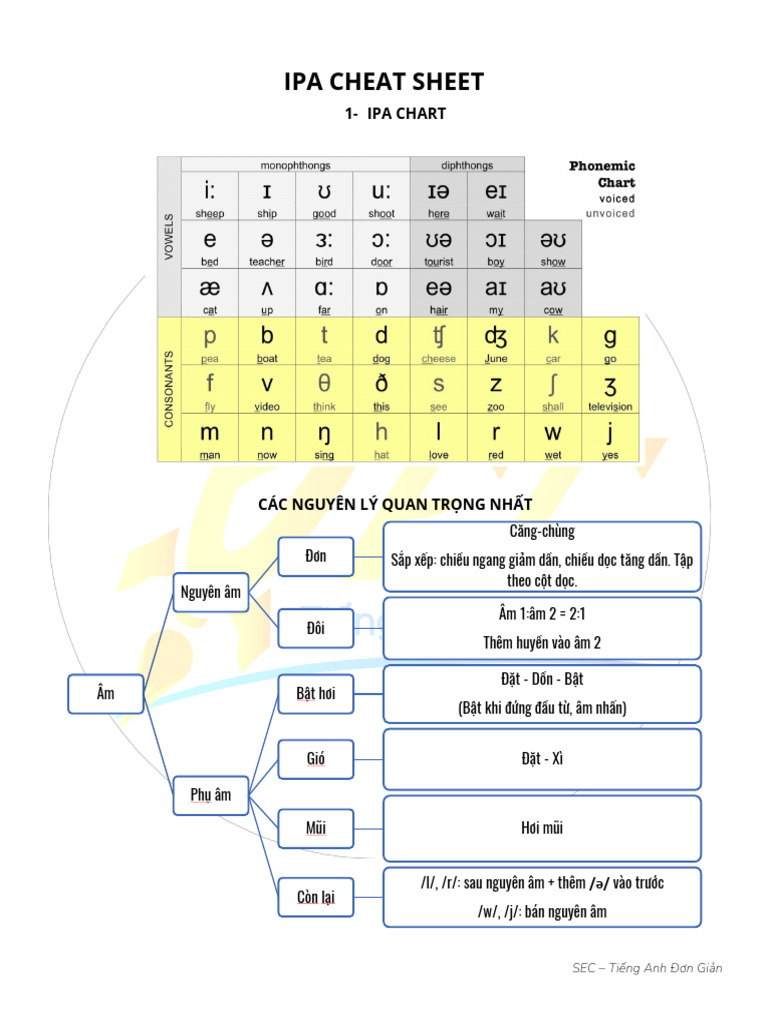 PCT2023_IPA cheat sheet | PDF