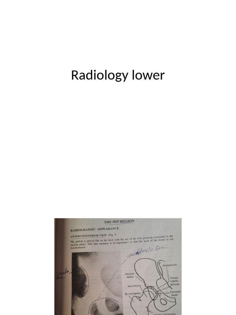 Radiology Lower | PDF