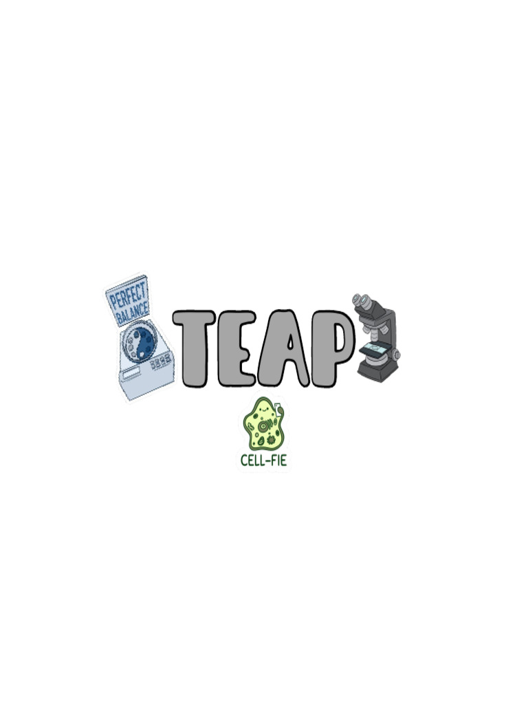 TEAP | PDF