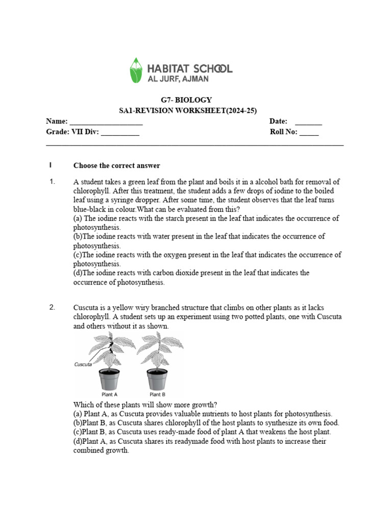 g7 - Biology Sa1 Revision Worksheet | PDF | Photosynthesis | Foods