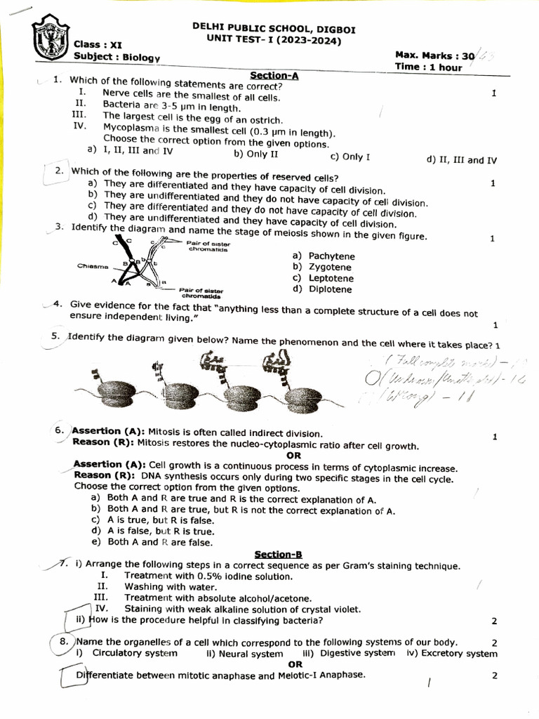 Class 11 Biology Question Papers - 240603 - 203648 | PDF | Prokaryote ...