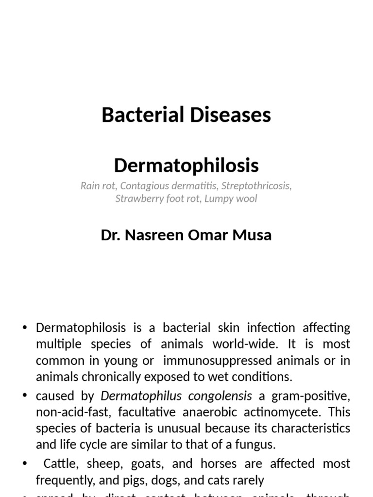 Understanding Dermatophilosis in Animals | PDF | Infection | Microbiology