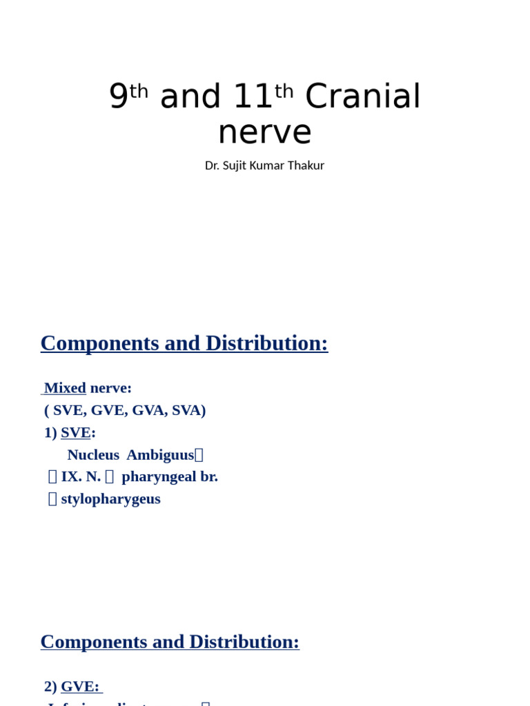 9th and 11th Cranial Nerves | PDF | Neuroanatomy | Nervous System
