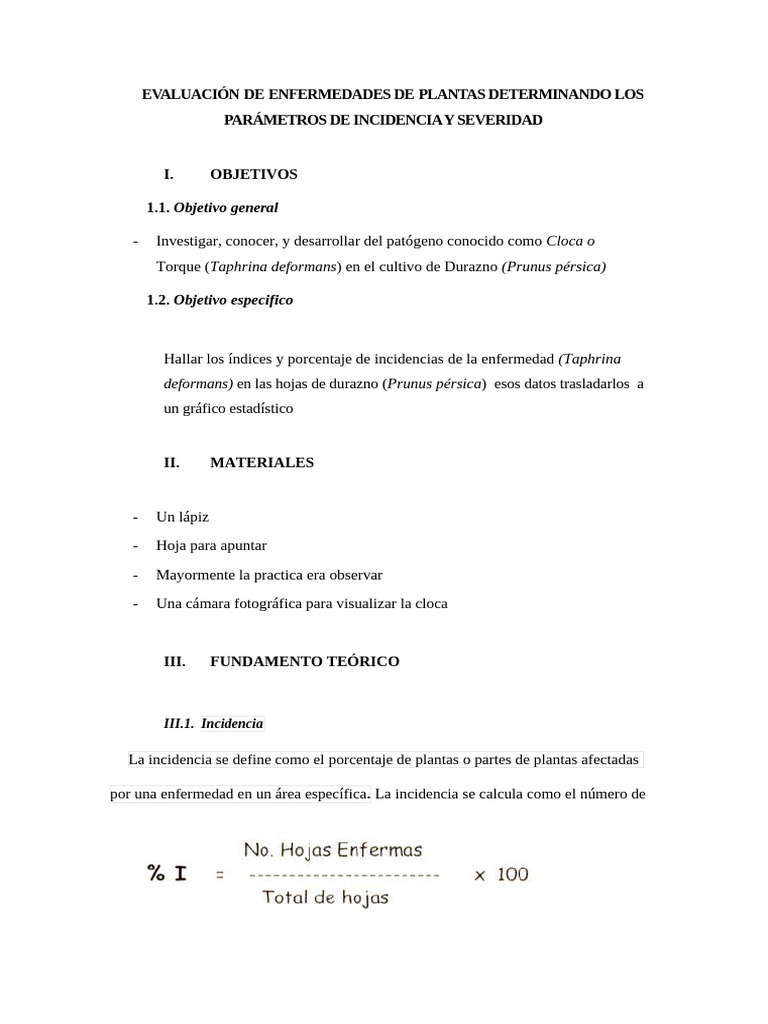 Evaluación de Cloca en Durazno | PDF | Plantas | Ramas de la botánica
