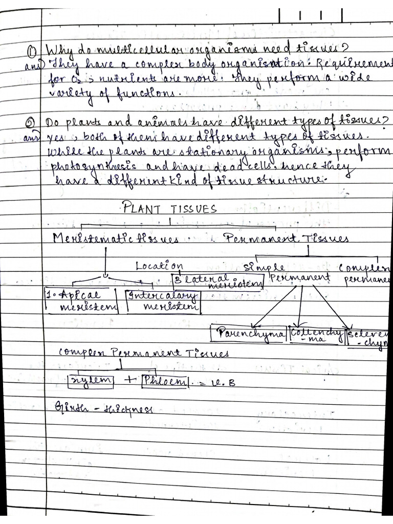 Class 9th Biology Chapter-2 Tissues Notes | PDF