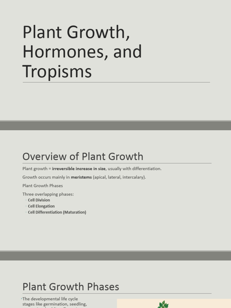 Week 7 Plant Growth Hormones and Tropisms.pptx | PDF | Auxin | Plant ...