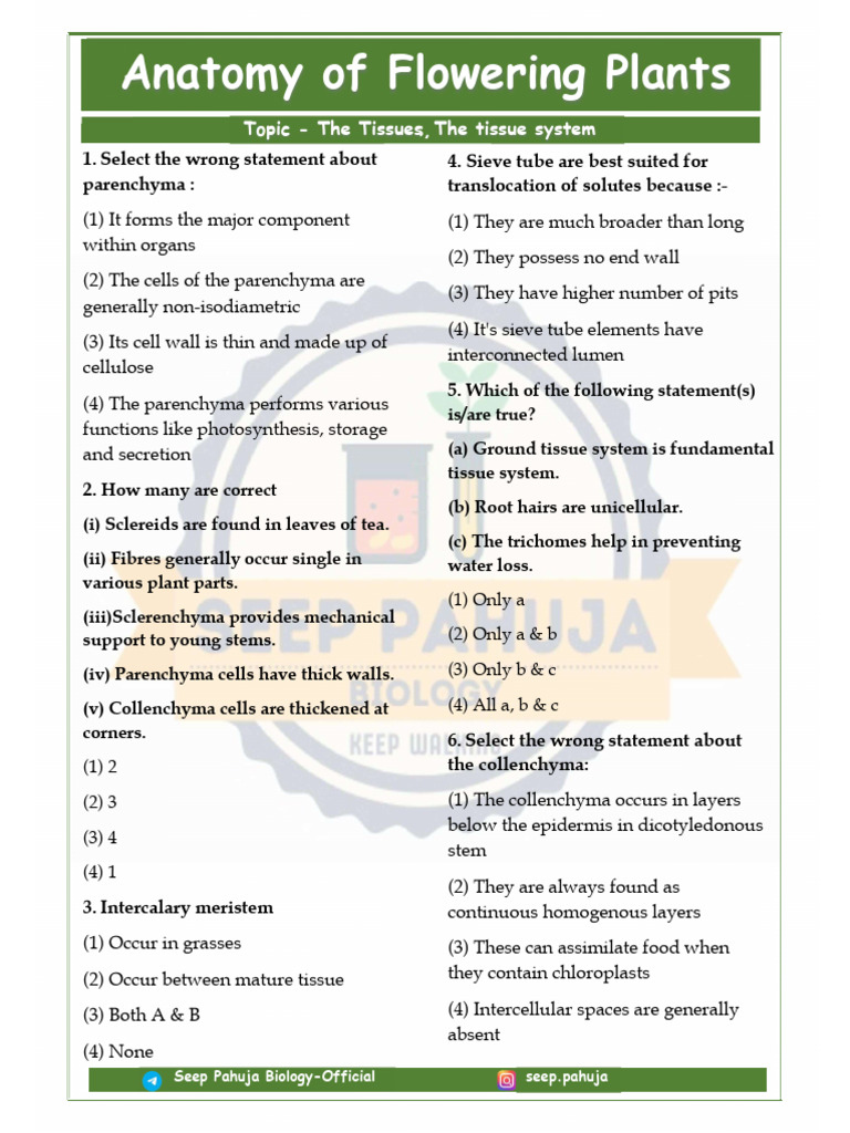 Anatomy of Flowering Plants DPP - 1 | PDF | Tissue (Biology) | Leaf