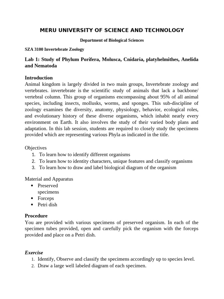 SZA 3100 Invertebrate Zoology Practical - Phylum Porifera, Cnidaria ...