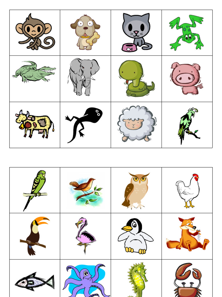 Animal Classification Sorting Game Cards | PDF