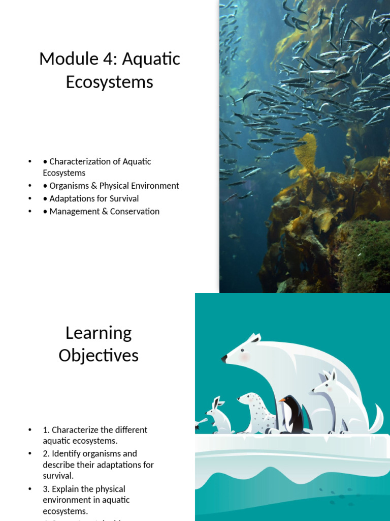 Understanding Aquatic Ecosystems | PDF | Aquatic Ecosystem | Wetland