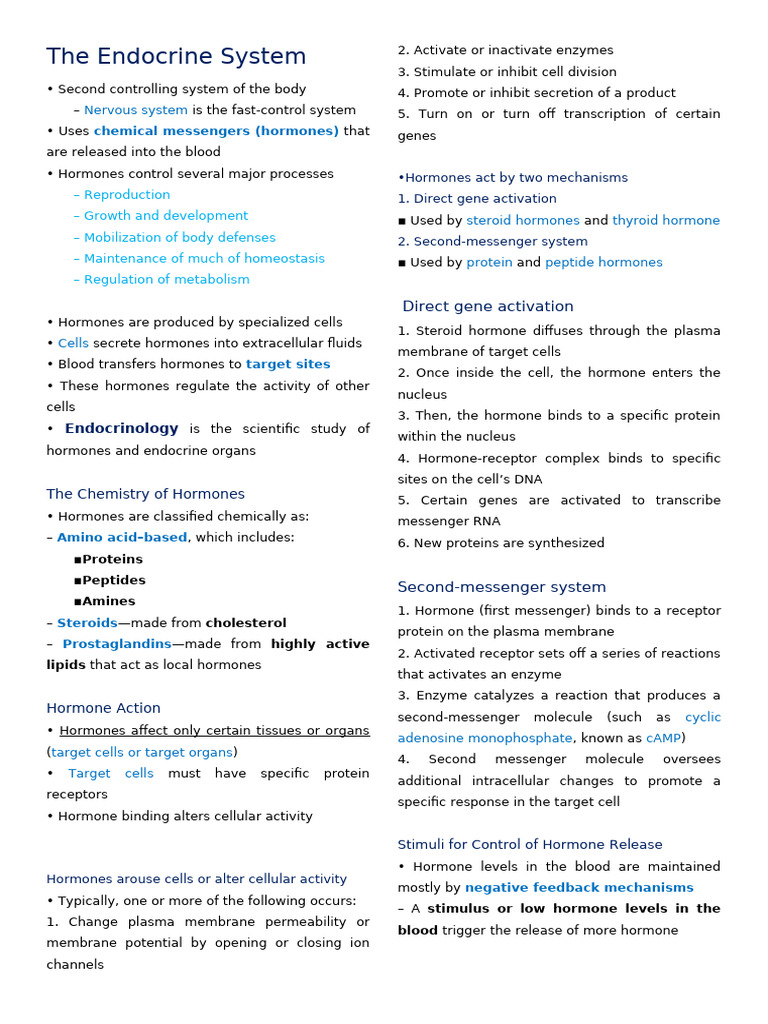 The Endocrine System Notes 1 | PDF | Hormone | Stimulus (Physiology)