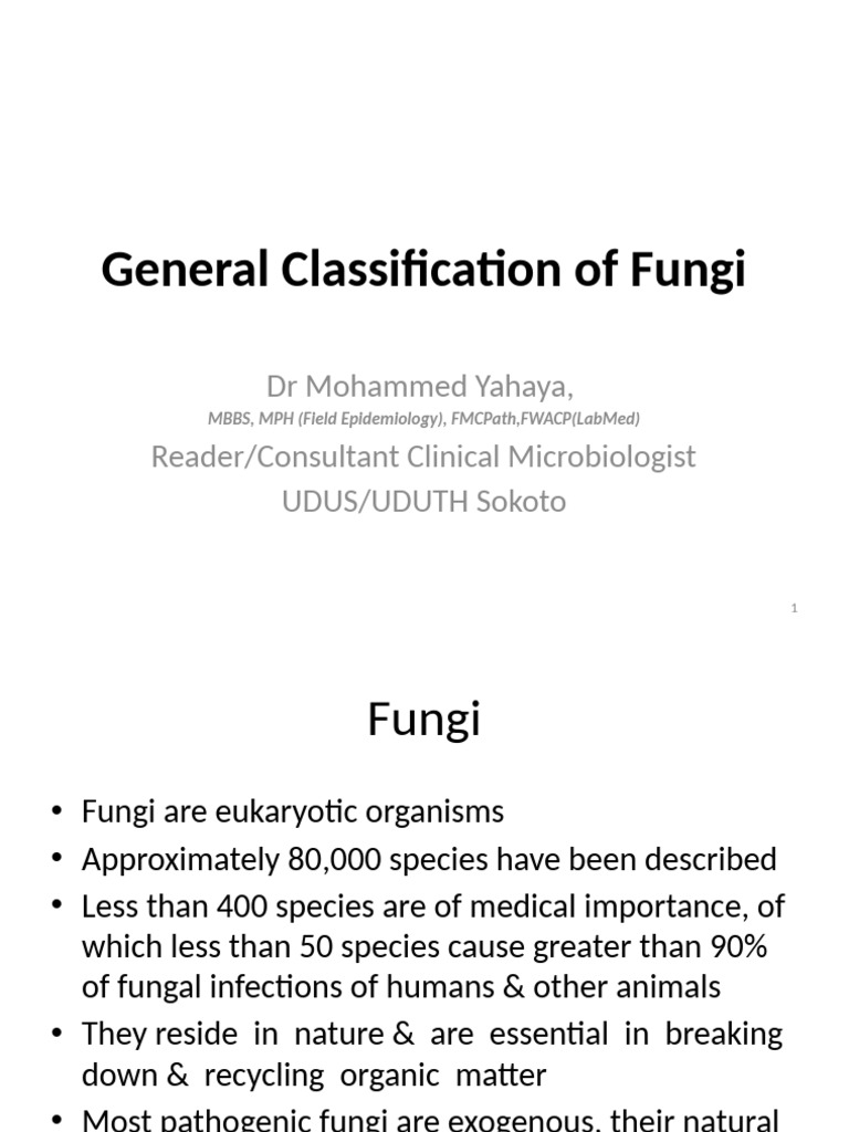 Tricosporum and Fungal Classifications | PDF | Fungus | Candida (Fungus)