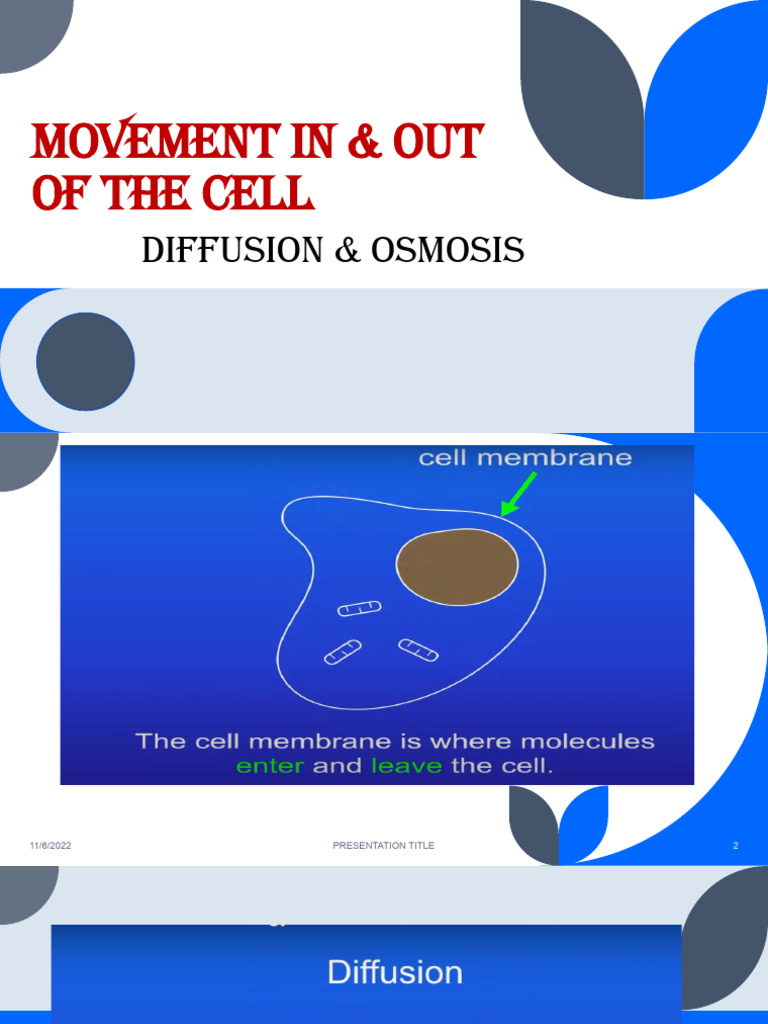 Movement in & Out of The Cell | PDF | Diffusion | Cell Biology