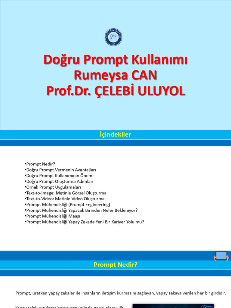 Do Ru Prompt Kullan M 1729461908 | PDF