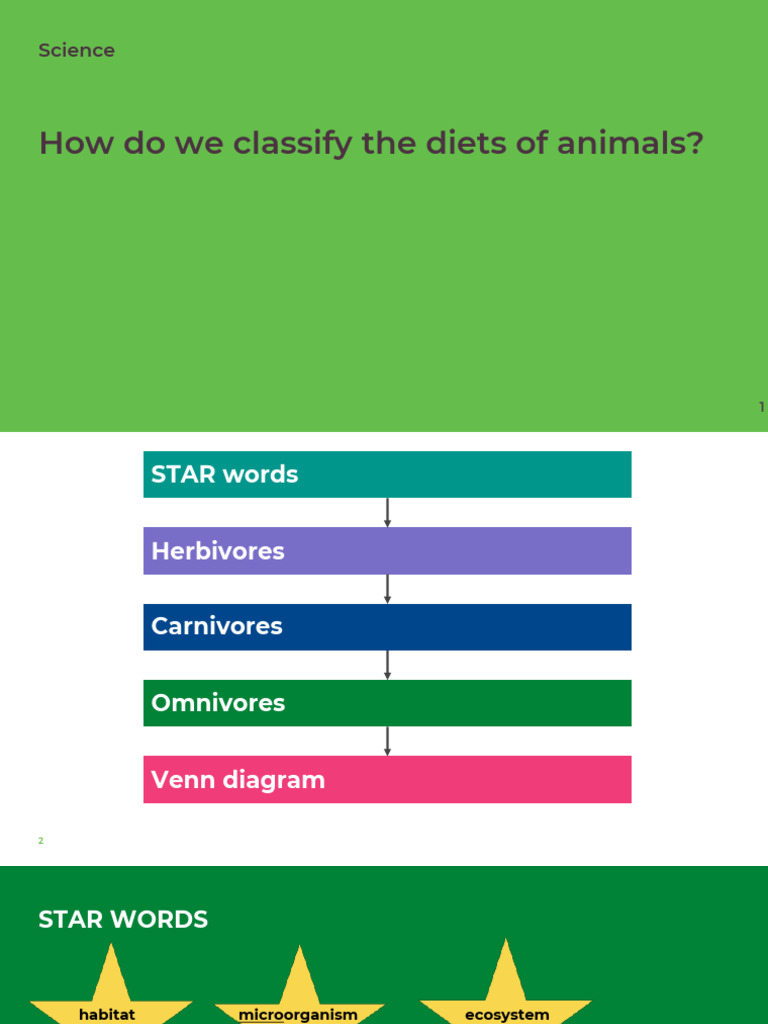 PRESRNTATION How-Do-We-Classify-The-Diets-Of-Animals | PDF | Herbivore ...