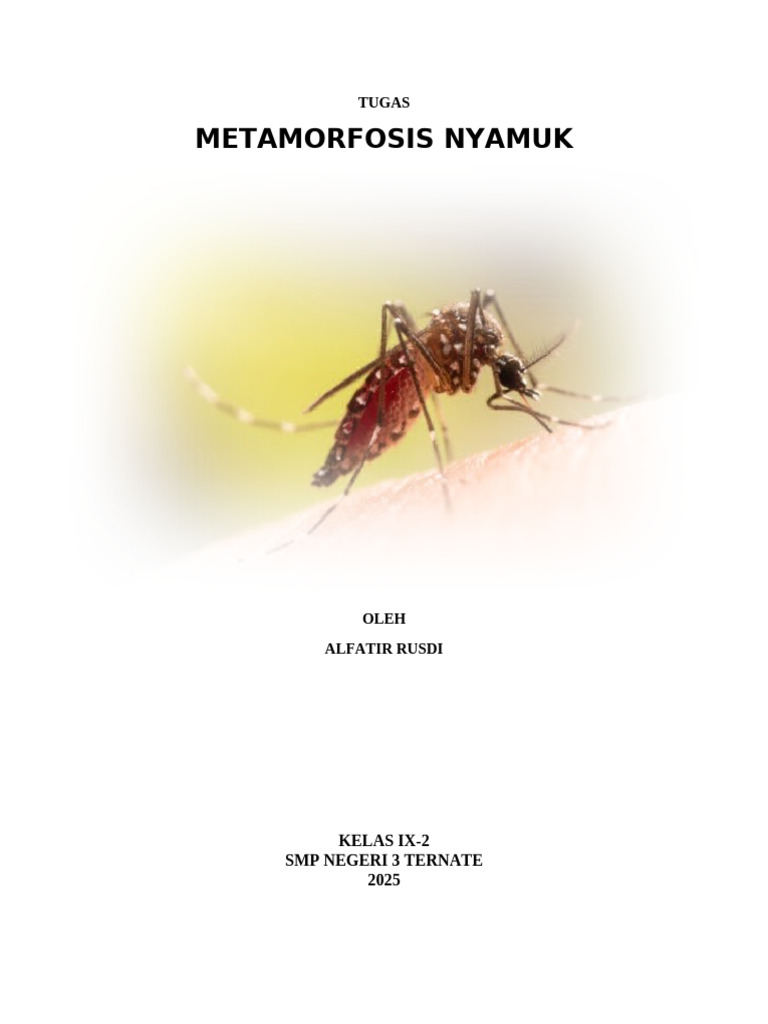 Metamorfosis Nyamuk (Alfatri Rusdi) | PDF