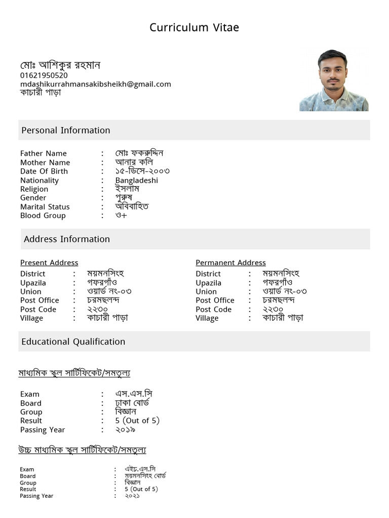 My CV | PDF